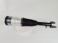 China Car Air Ride Suspension Shocks And Struts 6006351 600640300A for sale