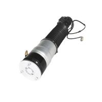 China Air Ride Suspension Shock absorber Strut module for BMW 7-Series F02 Rear 37126791675 for sale