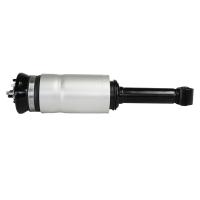 China Front Land Rover Air Suspension for Discovery 3 Rnb501580 Rnb501250 for sale