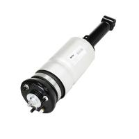 China Front Land Rover Air Suspension for Discovery 3 Rnb501580 Rnb501250 for sale