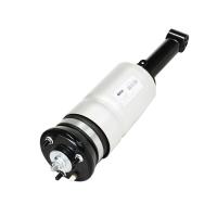 China Front Land Rover Air Suspension for Discovery 3 Rnb501580 Rnb501250 for sale
