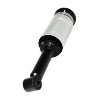 China Front Land Rover Air Suspension for Discovery 3 Rnb501580 Rnb501250 for sale