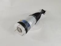 China Single Cylinder Front Tesla Shock Absorbers Strut 6006351-00-C 6006352-00-C 600640300 for sale