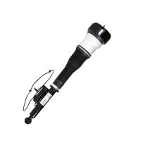 China Right Rear Mercedes Benz Air Suspension Springs For Mercedes-Benz S Class W221 3205613 for sale
