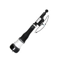 China Right Rear Mercedes Benz Air Suspension Springs For Mercedes-Benz S Class W221 3205613 for sale