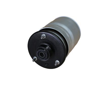 China Range Rover Air Spring Rear Strut Replacement RPD501110 for Sport Discovery 3 for sale