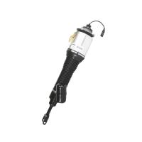China Front Pneumatic Volkswagen Struts Air Suspension For Phaeton 3D0616040D 3D0616039D for sale