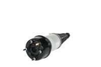 China OEM XJ Jaguar Air Ride System Fit Xjr Xj6 Xj8 Rear C2C41341 for sale