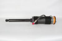 China W221 Rear Hydraulic Mercedes Benz Air Suspension Struts 2213200313 for sale