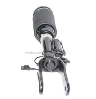 China Mercedes R Class auto Air Suspension Struts W251 V251 Front ADS 2513203013 for sale