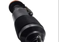 China Rear Air Struts For Mercedes Benz S Class R230 Airmatic Shock Absorber 2303200013 for sale