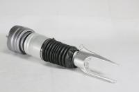 China Compatible Panamera 970 Porsche Air Suspension Struts 97037305134 97037305234 for sale