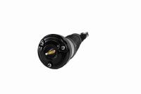 China Mercedes Benz W220 Air Ride Shock Absorber Replacement Front 2203202438 for sale