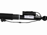 China automatic Rear Mercedes W220 Air Suspension system For Benz S-Class 2203202338 for sale