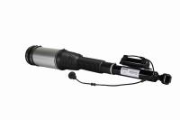 China automatic Rear Mercedes W220 Air Suspension system For Benz S-Class 2203202338 for sale