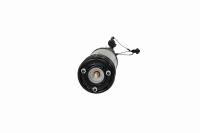 China automatic Rear Mercedes W220 Air Suspension system For Benz S-Class 2203202338 for sale