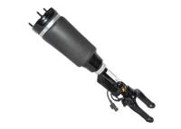 China Air Spring Mercedes R Class Suspension 2513205613 W251 for sale