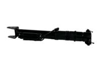 China 2513201831 Rear Airmatic Air Suspension Struts With ADS For Mercedes Benz W251 for sale