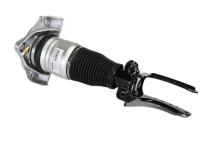 China Front Air Ride System Struts For AUDI A8 7L8616039D for sale