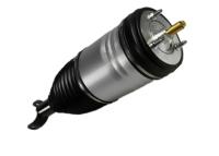 China Spring Pneumatic Shock Absorber Suspension System for Dodge Ram 1500 4877146AE for sale