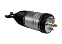 China Spring Pneumatic Shock Absorber Suspension System for Dodge Ram 1500 4877146AE for sale