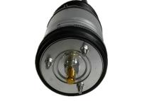 China Spring Pneumatic Shock Absorber Suspension System for Dodge Ram 1500 4877146AE for sale