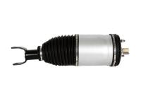 China OEM Airmatic Shock Absorber Air Suspension Replacement For DOGE 1500 4877147AF for sale