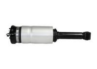 China Spring Land Rover Air Suspension System for Discovery 3 RNB501580 for sale