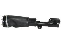 China Land Rover Range Front Air Suspension Struts Auto Parts Shock Absobers RNB000750G for sale