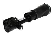 China Front OEM Standard Air Suspension Shock Absorbers Struts For Land Rover RNB000740G for sale