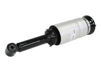 China Front Air Suspension Pneumatic Spring Shock Absorber For Land Rover Range Rover Sport for sale