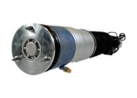 China Rear Air Ride Suspension Spring Strut Rolls Royce Ghost 37126795874 for sale