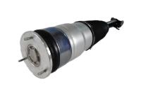 China Air Ride Suspension Tesla Shock Absorbers For Model S 6006351-00-C Front Auto Parts for sale