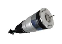 China Air Ride Suspension Tesla Shock Absorbers For Model S 6006351-00-C Front Auto Parts for sale