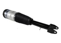 China 3600640300A Automobile Shock Absorber Air Ride Suspension Spring Strut Tesla Model for sale
