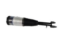 China 3600640300A Automobile Shock Absorber Air Ride Suspension Spring Strut Tesla Model for sale