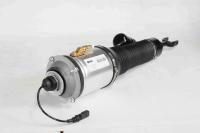 China Bentley Continental Automobile Shock Absorber Spring Strut 3D0616040D for sale