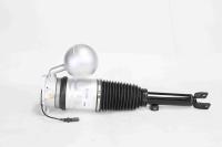China Rear Bentley Air Suspension Strut 3D0616001J 3D0616002J For Continental for sale