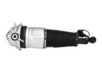 China Adaptive Rear VW Volkswagen Struts Phaeton Porsche Q7 7l8616019d for sale