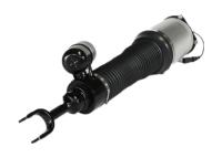 China Front Volkswagen Phaeton Air Suspension Strut for Bentley Continental 3W5616039 for sale