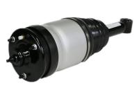 China 2005-2009 Car Rear Land Rover Air Suspension For Discovery 3 LR3 RPD501090 for sale