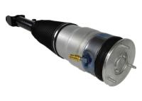 China ITAF16949 Front Air Ride Suspension Automobile Spare Parts Fit Tesla Model S 6006351-04-A for sale