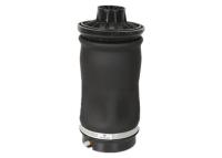 China Rear Air Suspension Spring Shock Kits For Mercedes-Benz X164 GL320 GL350 GL450 GL550 for sale