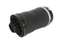 China Rear Air Suspension Spring For Mercedes-Benz R-Class R320 R350 R500 W251 2513200025 for sale