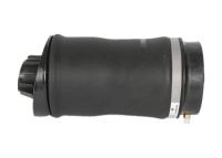 China Rear Air Suspension Spring For Mercedes-Benz R-Class R320 R350 R500 W251 2513200025 for sale