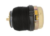 China Air Suspension Spring Kits For A6 C6 A6 A6 Quattro S6 Bag Bellow 4F0616001 4F0616001J for sale