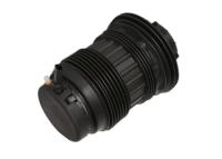 China Auto Parts Suspension Air Springs Bag For Porsche Panamera 970 Rear OEM 97033353317 for sale