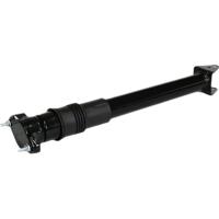 China 1643200931 Car Shock Absorbers Rear Axle Shock Absorber Dampers For Mercedes-Benz M - Class W164 for sale