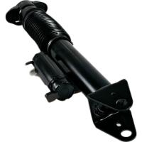 China W292 Rear Air Shock Absorber For Mercedes Benz Air Ride Suspension Struts for sale