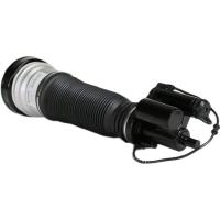 China W220 Mercedes Benz Air Suspension Front Left Shock Absorber 2203202138 for sale